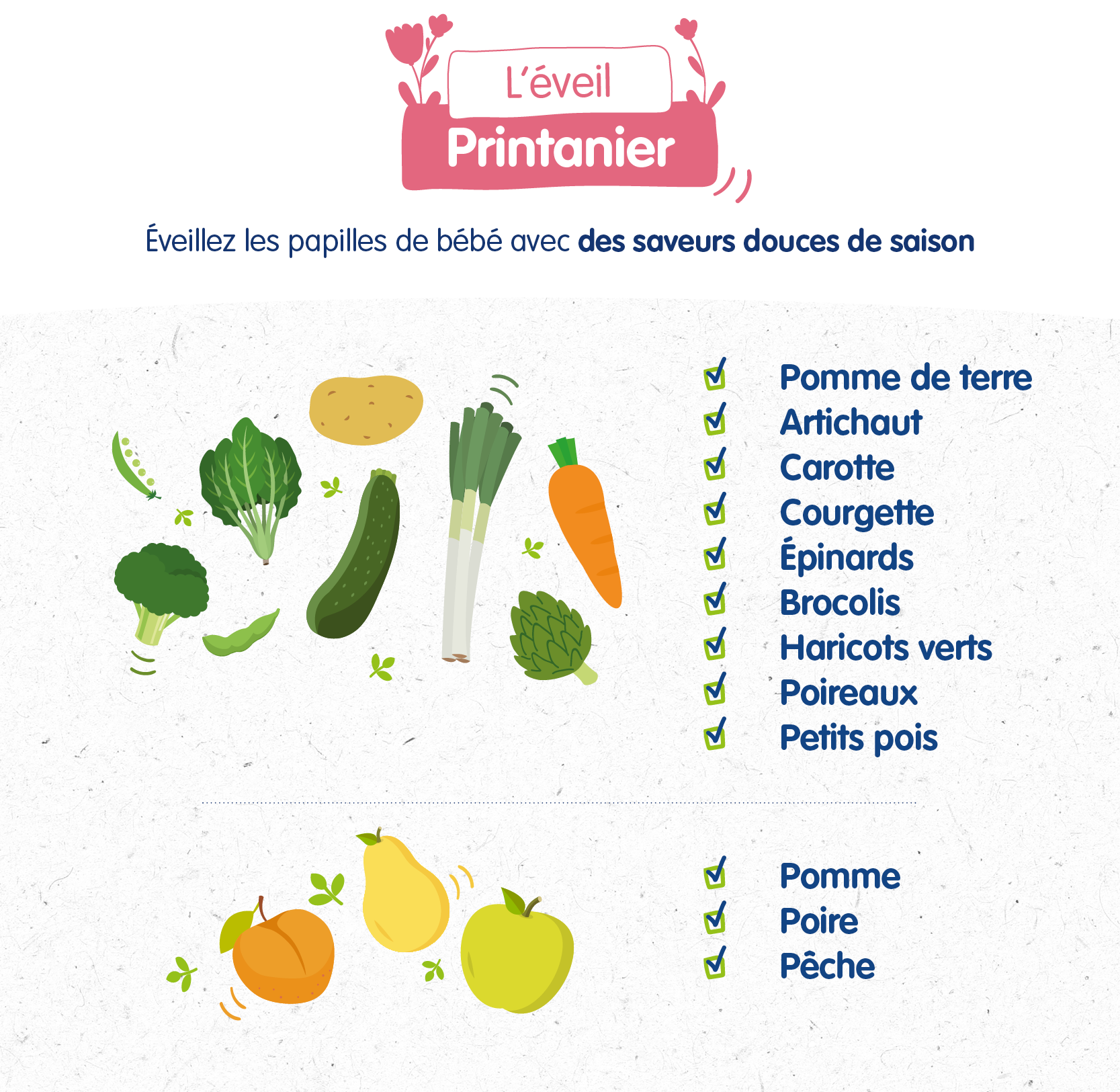 Quels fruits et légumes donner à bébé de 4 à 6 mois ? Physiolac
